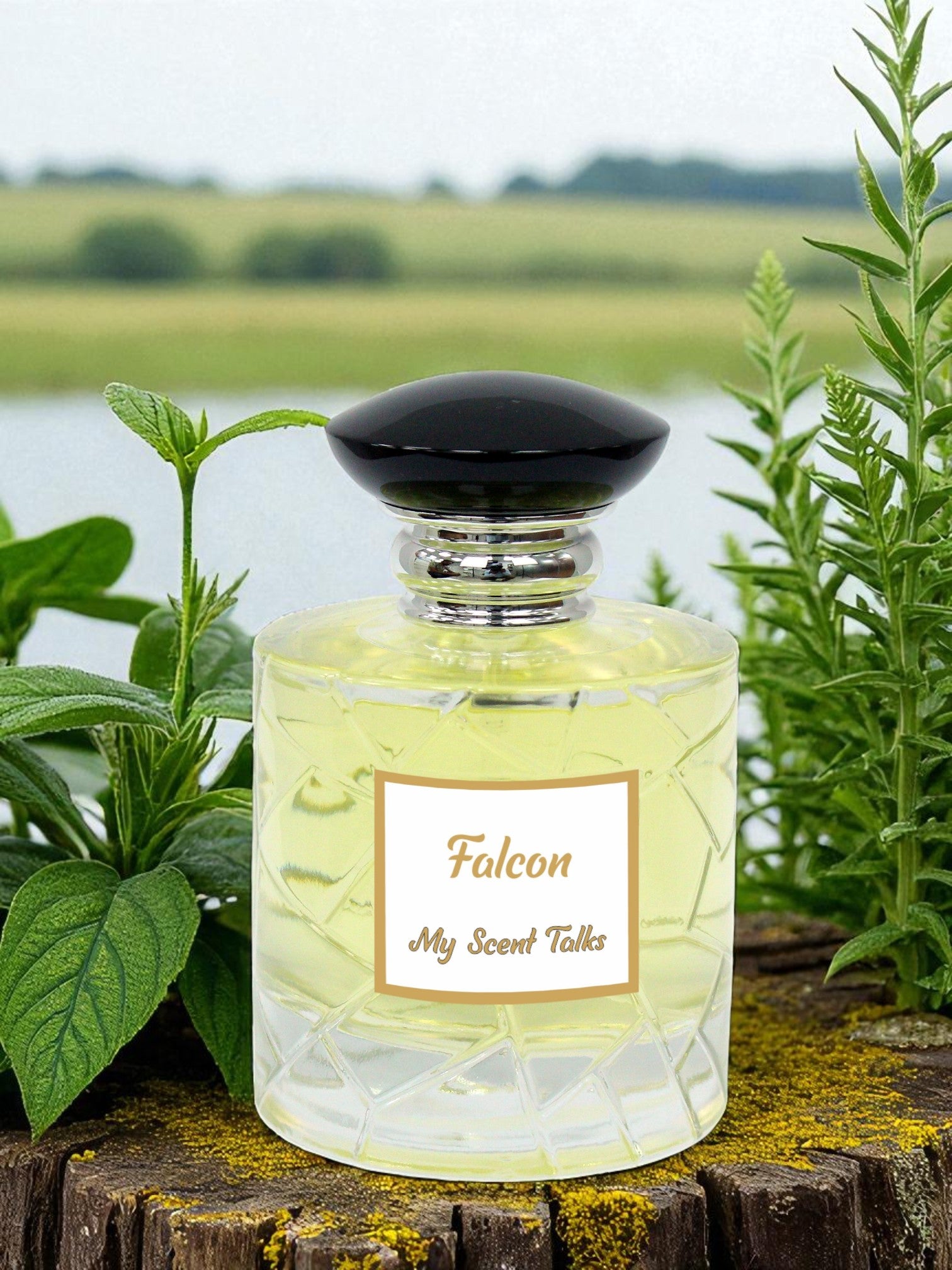 Falcon - Falkar – The Celebrity Perfumes